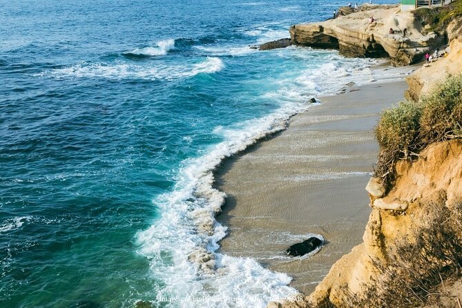 San Diego in a Day: Private Full-Day Highlights Driving Tour - Who Should Consider This Tour?