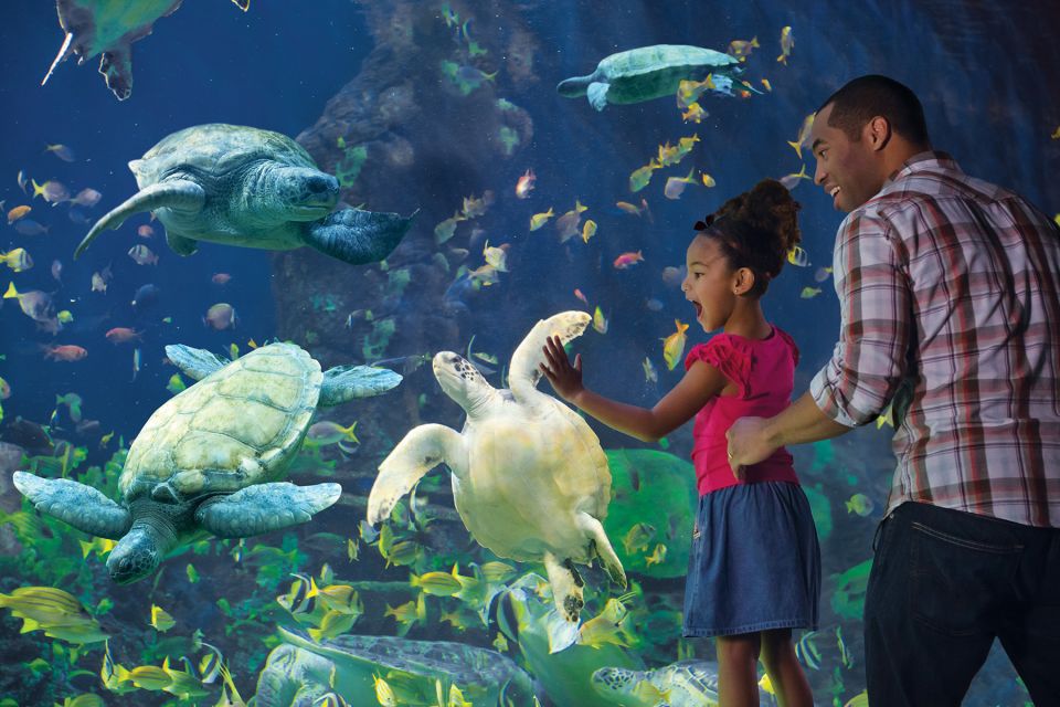 San Diego Pass: Save up to 50% - Includes LEGOLAND - What to Expect: Day-to-Day with the Pass