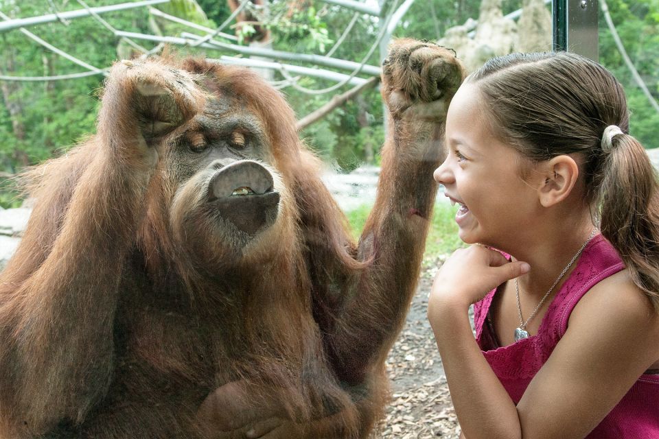 San Diego Pass: Save up to 50% - Includes LEGOLAND - Who Will Love This Pass?