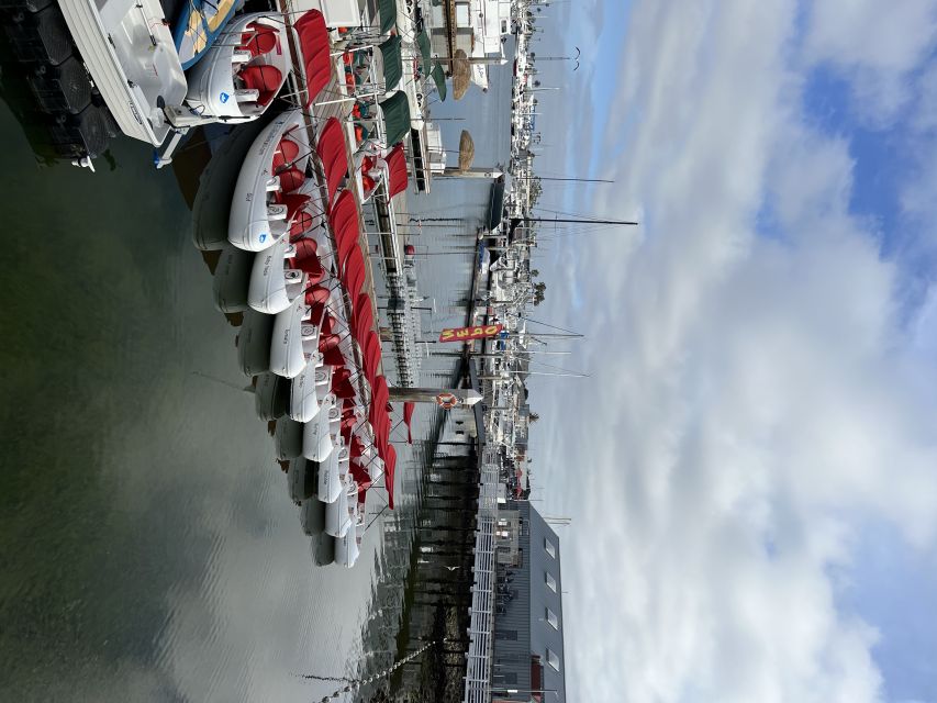 San Diego: San Diego Bay Dog-Friendly Eco Pedal Boat Rentals - Who Should Consider This Experience?