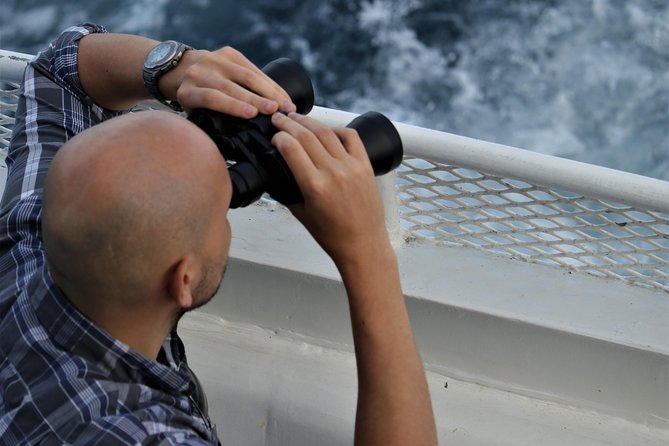 San Diego Sunset Cruise from Mission Bay - Value for Money and Who Will Love This Tour