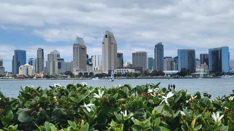 San Diego tour from Los Angeles - Authentic Feedback & Insights