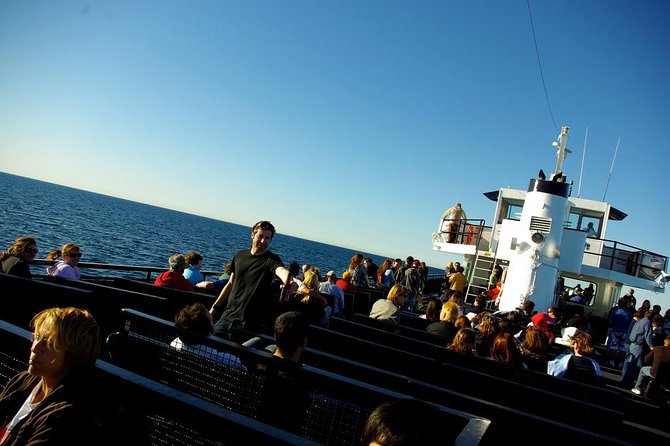 San Diego Whale Watching Cruise - Who Should Consider This Tour?