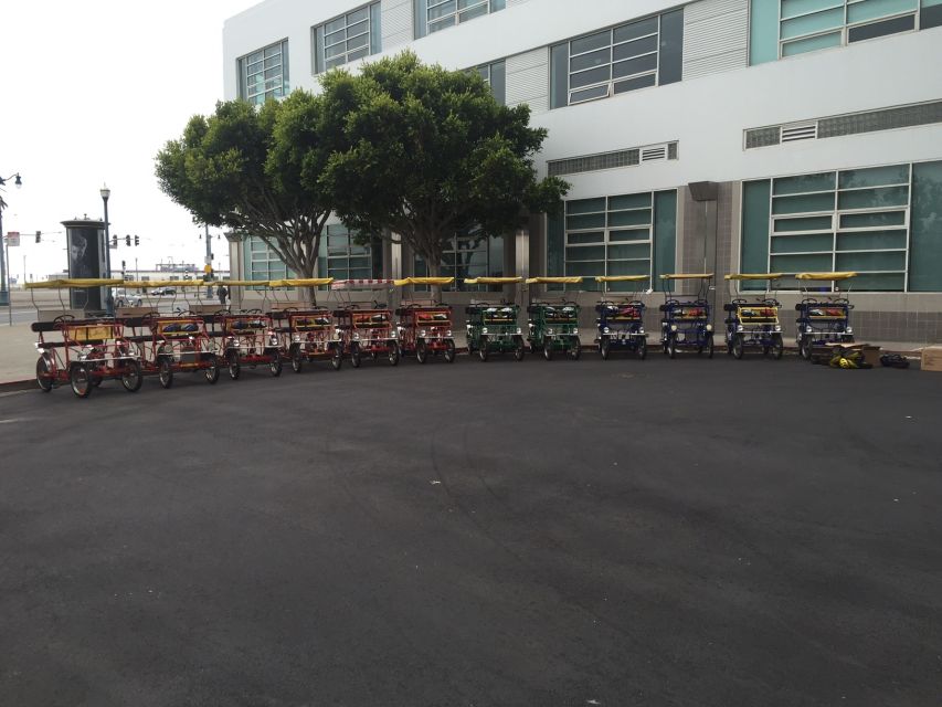 San Fancisco: Golden Gate Park Surrey Rental - Key Points