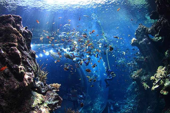 San Francisco CityPASS® - The Sum Up