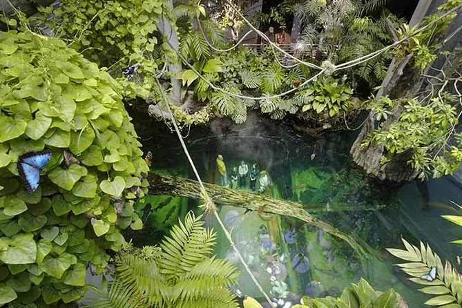 San Francisco CityPASS® - FAQ