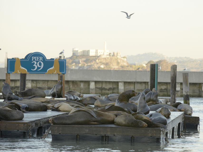 San Francisco CityPASS®: Save 46% at 4 Top Attractions - What Does the San Francisco CityPASS® Include?