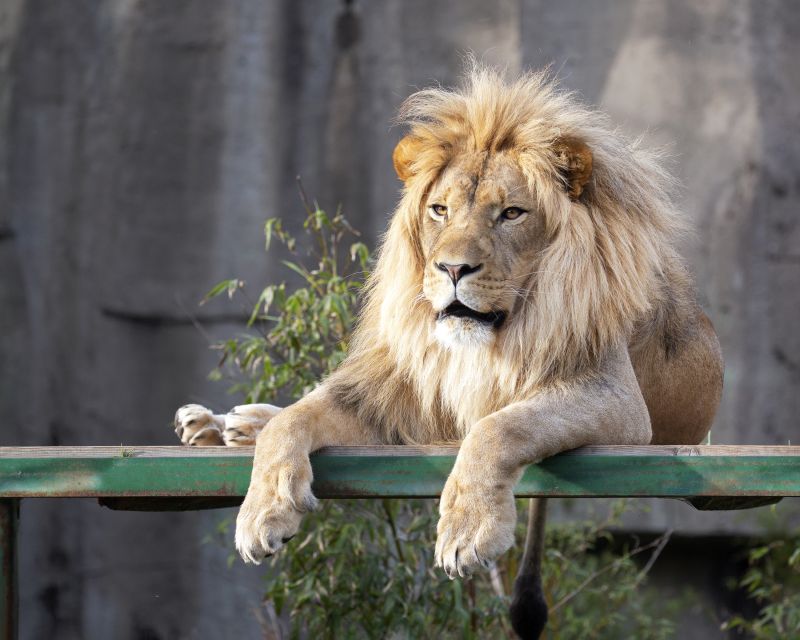 San Francisco CityPASS®: Save 46% at 4 Top Attractions - Is This Tour Right for You?