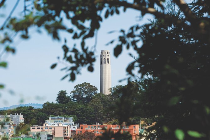 San Francisco: Coit Tower and Little Italy Guided Walking Tour - What the Tour Includes and What to Keep in Mind