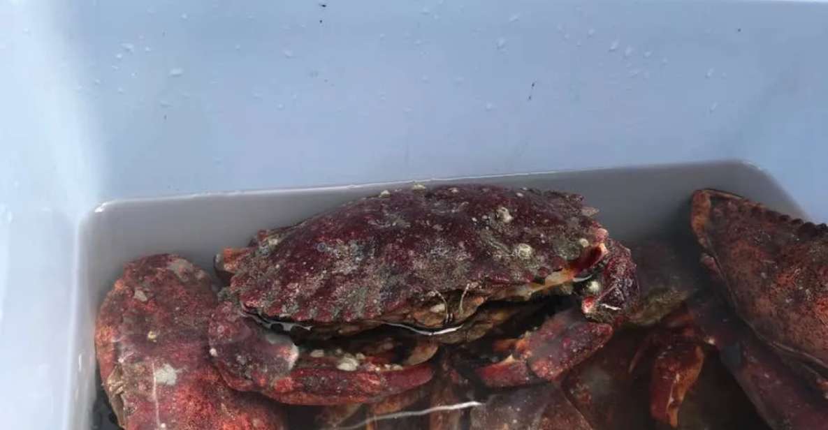 San Francisco: Crab & Cook under the Golden Gate Bridge - Introduction: Why This Tour Stands Out