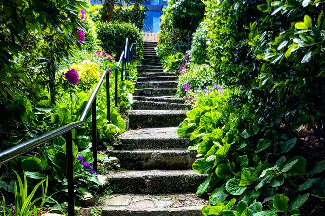 San Francisco Four Peaks Tour - What Travelers Say: Authentic Feedback