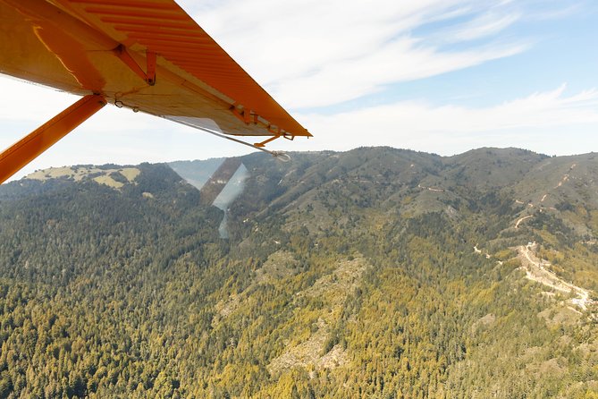 San Francisco Golden Gate Seaplane Tour - An In-Depth Look at the Tour Experience
