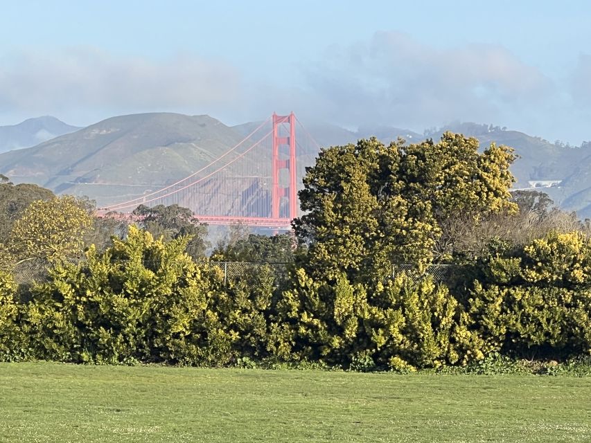 San Francisco: Major Landmarks Private Sightseeing Tour - What You Can Expect From the Experience