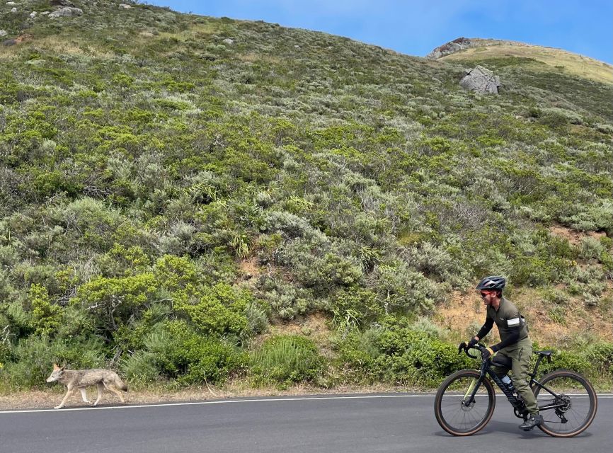 San Francisco: Marin Headlands Gravel Biking Tour +GG Bridge - Why This Tour is Worth Considering