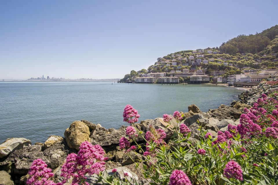San Francisco: Muir Woods and Sausalito Experience - Key Points