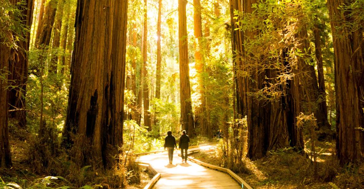 San Francisco: Muir Woods and Sausalito Experience - FAQ