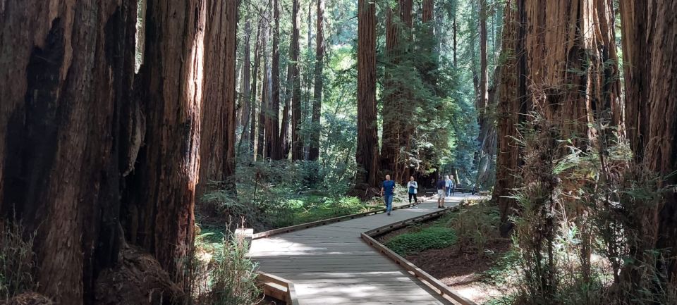 San Francisco: Muir Woods and Sausalito Small Group Tour - The Sum Up
