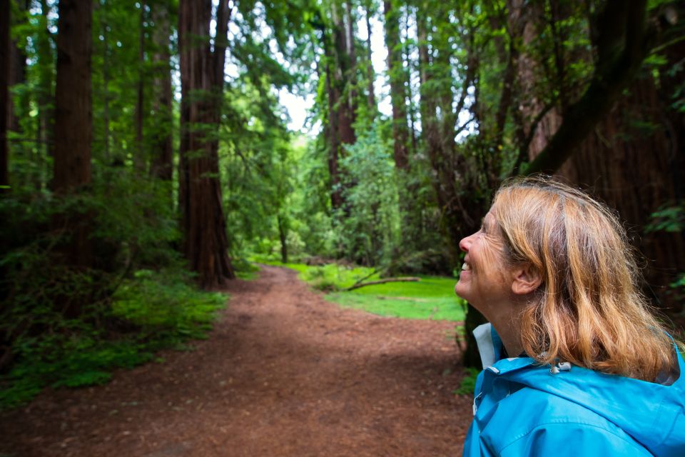 San Francisco: Muir Woods and Sausalito Tour with Admission - Final Thoughts: Who Is This Tour Best For?