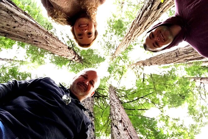 San Francisco & Muir Woods Full Day Small Group Private Tour - Discover San Francisco in Style and Comfort