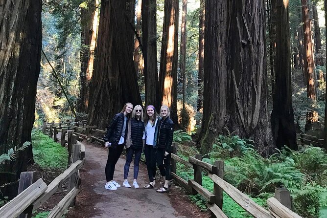 San Francisco & Muir Woods Full Day Small Group Private Tour - Transportation and Comfort