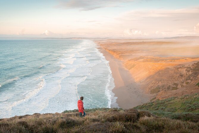 San Francisco Muir Woods, Point Reyes and Meadery Tour - Exploring the San Francisco Muir Woods, Point Reyes, and Meadery Tour