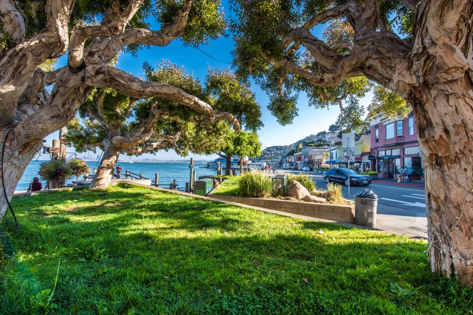 San Francisco: Muir Woods, San Francisco and Sausalito Tour - Transportation and Comfort