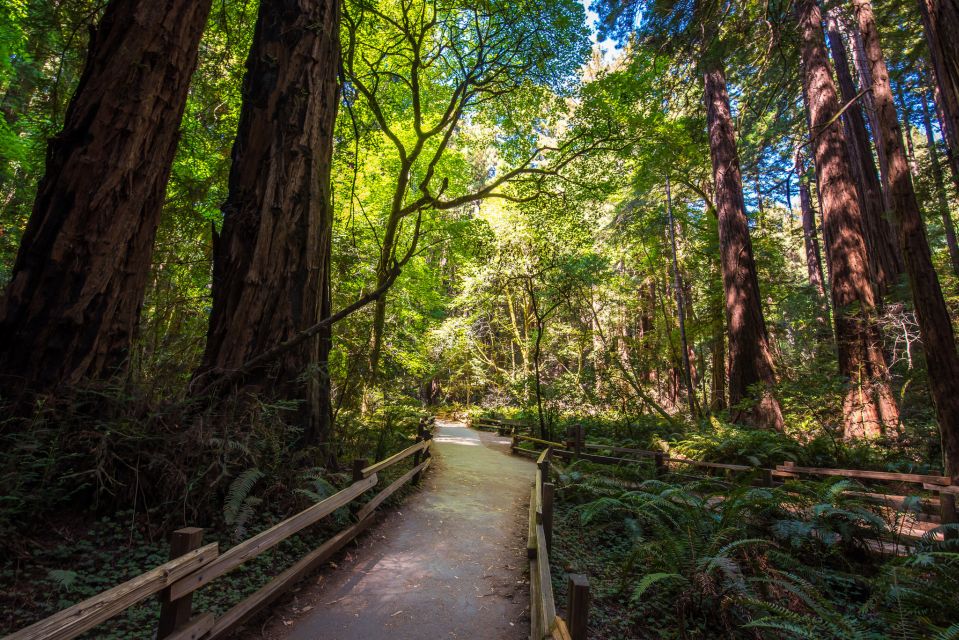 San Francisco: Muir Woods, San Francisco and Sausalito Tour - Authentic Experiences and Insights