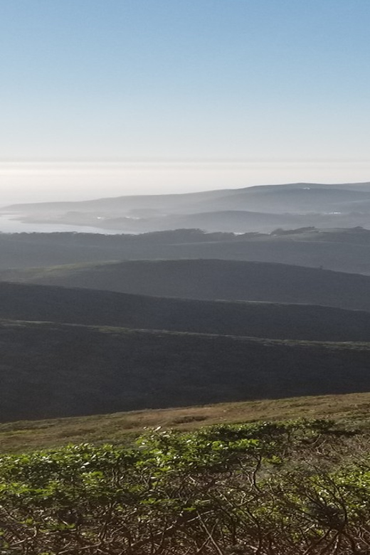 San Francisco: Muir Woods, Sausalito, and Sonoma Wine Tour - An Honest Look at the Itinerary