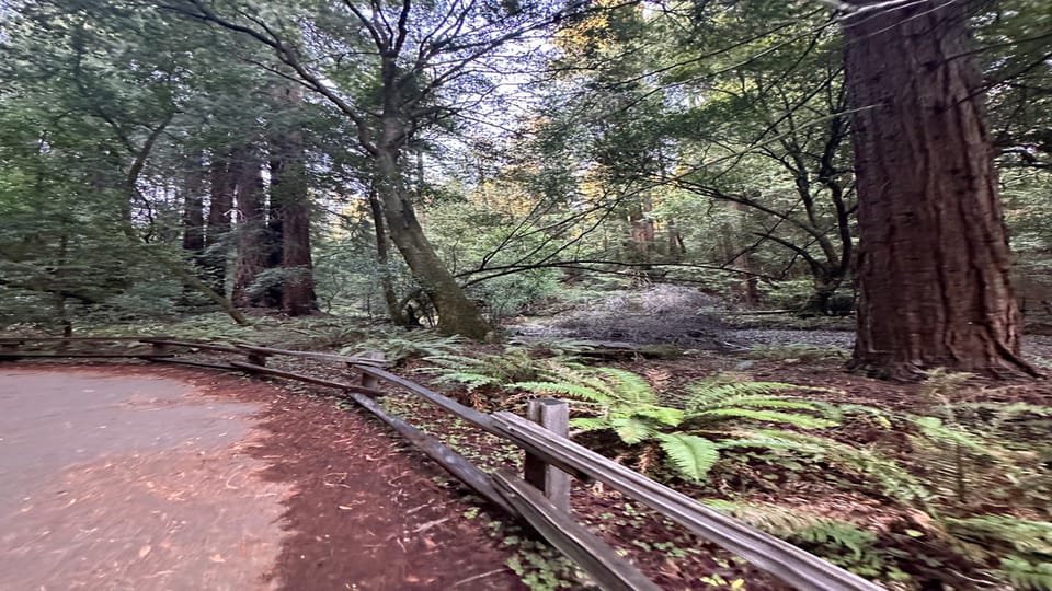 San Francisco: Muir Woods, Sausalito, and Sonoma Wine Tour - The Sum Up