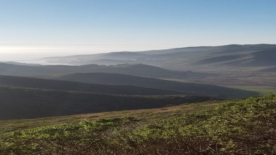 San Francisco: Muir Woods, Sausalito, and Sonoma Wine Tour - FAQ