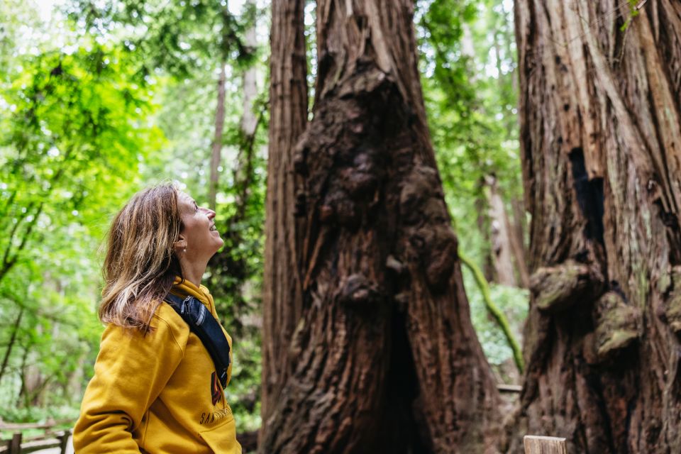 San Francisco: Muir Woods & Sausalito Tour with Ferry Option - Discovering Muir Woods & Sausalito: A Practical Breakdown