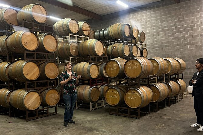 San Francisco: Napa & Sonoma Wine Tour & 24hr Hop-on Hop-off Tour - Practical Considerations
