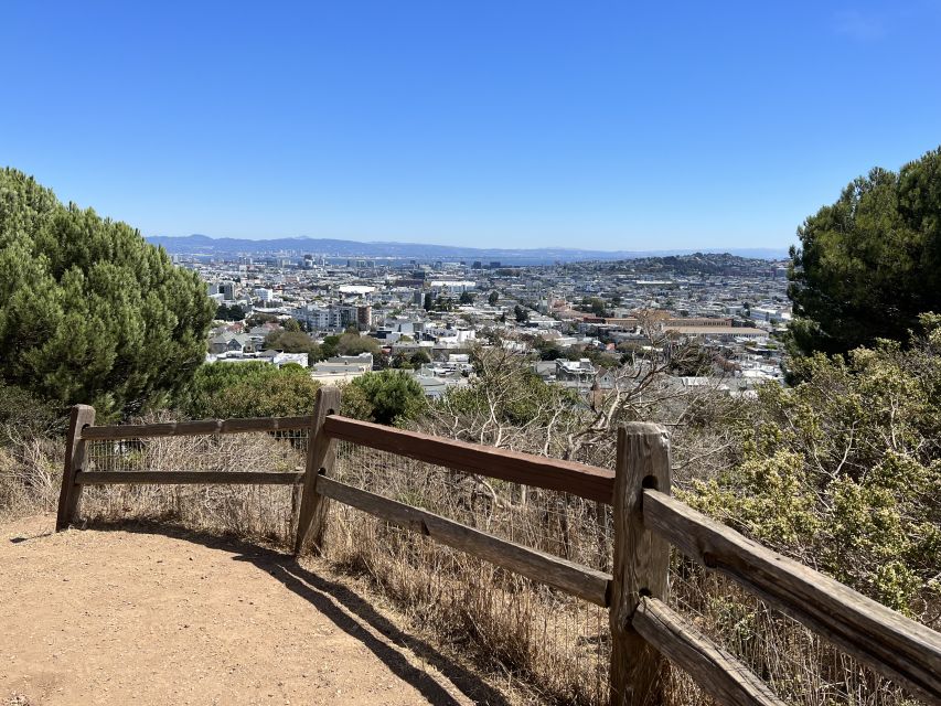 San Francisco: Neighborhood Walking Tour - 6 Route Options - A Deep Dive into the Neighborhoods