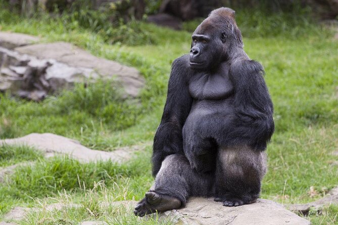 San Francisco Pass: Save up to 50% - Includes Big Bus Tours - Introduction