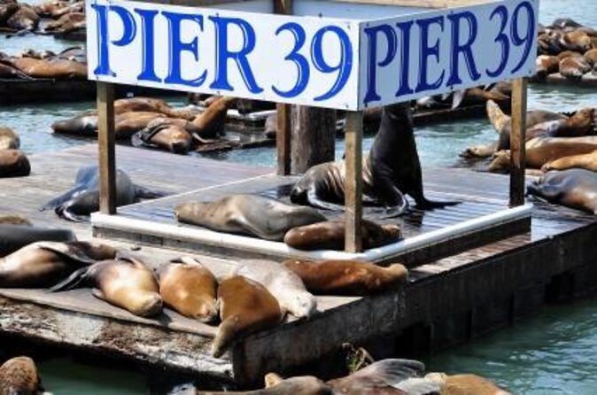 San Francisco Pier 39 Puzzling Adventure - Final Thoughts