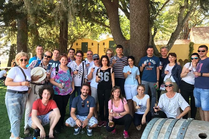 San Francisco Shore Excursion: Napa & Sonoma Ultimate Wine Tour - Authentic Experiences from Travelers