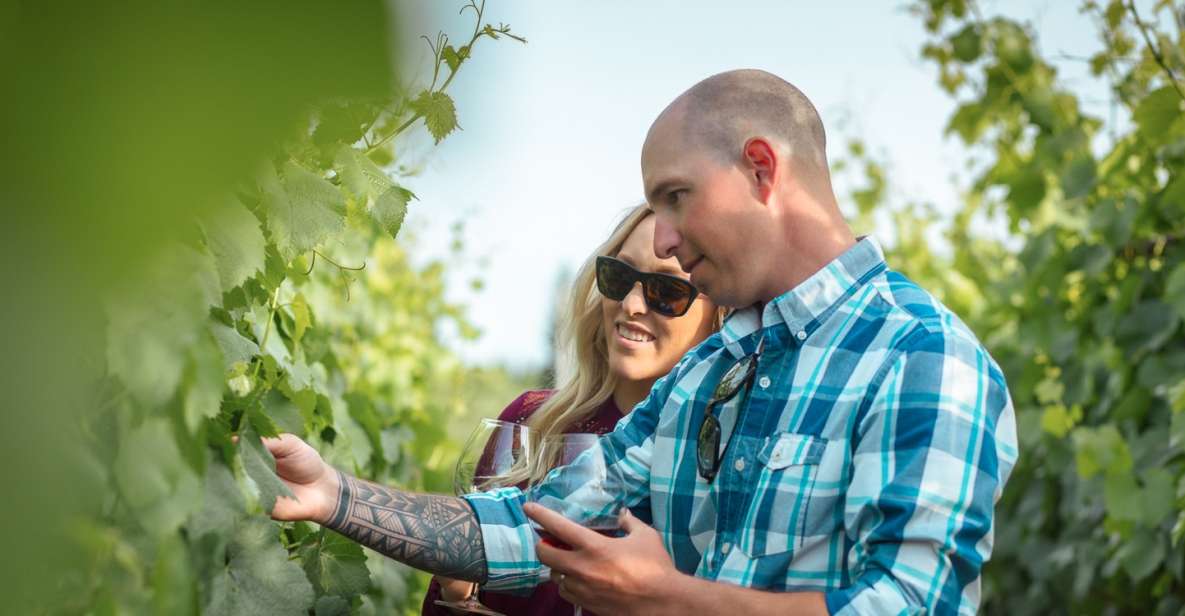 San Francisco: Sonoma Wine Country Tour with Tastings