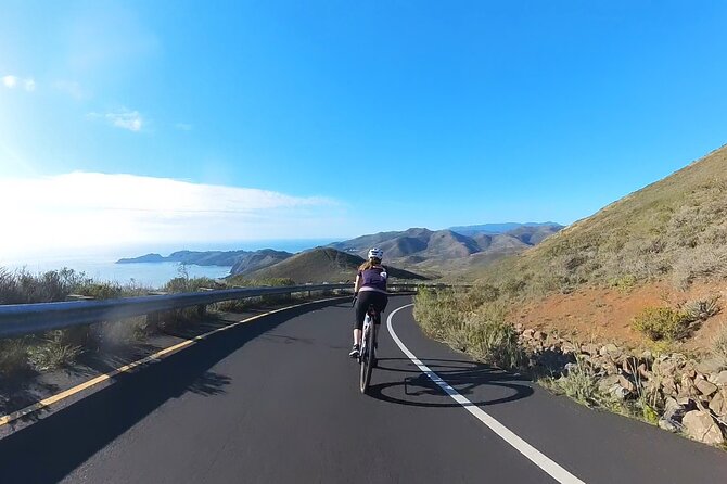 San Francisco to Muir Woods Cycling Tour - Introduction to the Tour Experience