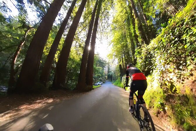 San Francisco to Muir Woods Cycling Tour - What to Expect in Terms of Logistics
