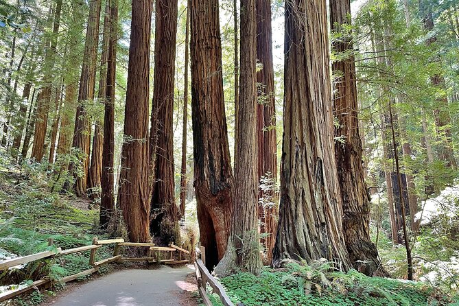 San Francisco to Muir Woods Cycling Tour - FAQ