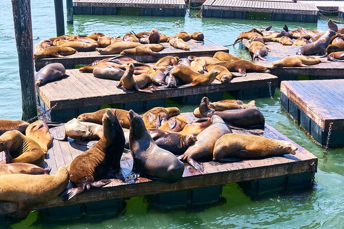 San Francisco Uncovered Self-Guided Adventure - The Sum Up