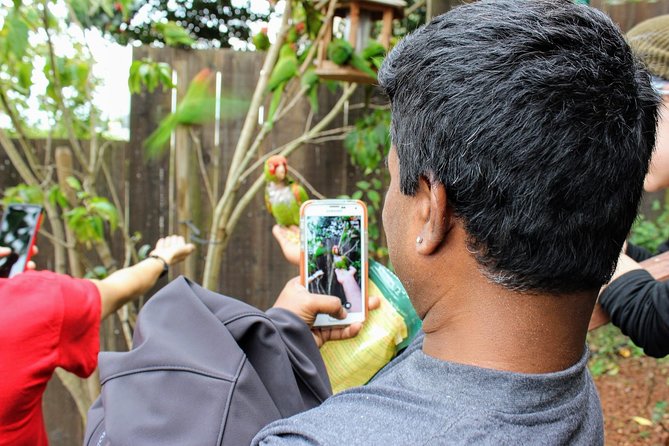 San Francisco Urban Hike: Coit Tower, Lombard Street and North Beach - Who Will Love This Tour?