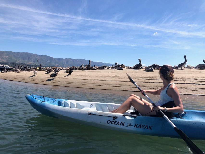 Santa Barbara: 1.5-Hour Harbor Kayak Tour