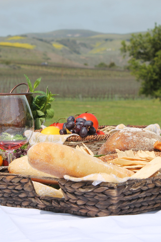 Santa Barbara: E-bike wine tour w/ transport, tasting, lunch