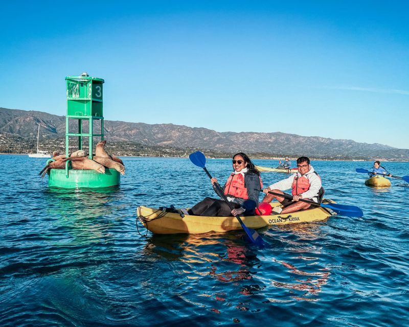 Santa Barbara Harbor: Wildlife Kayak Tour (2 Hours)