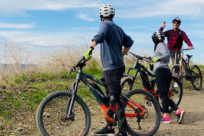 Santa Monica Premium Electric Mountain Bike Tour - Is It Worth the Price?