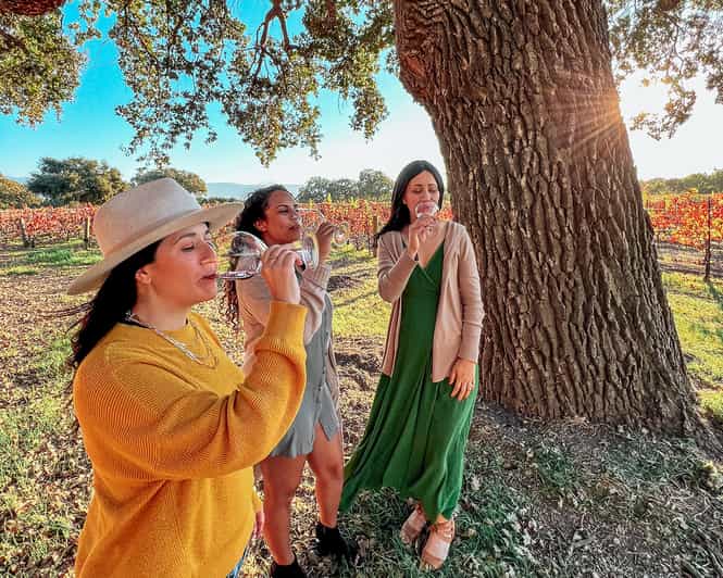 Santa Ynez: Private Wine Tour - Santa Ynez: Private Wine Tour - A Deep Dive into Californias Wine Country