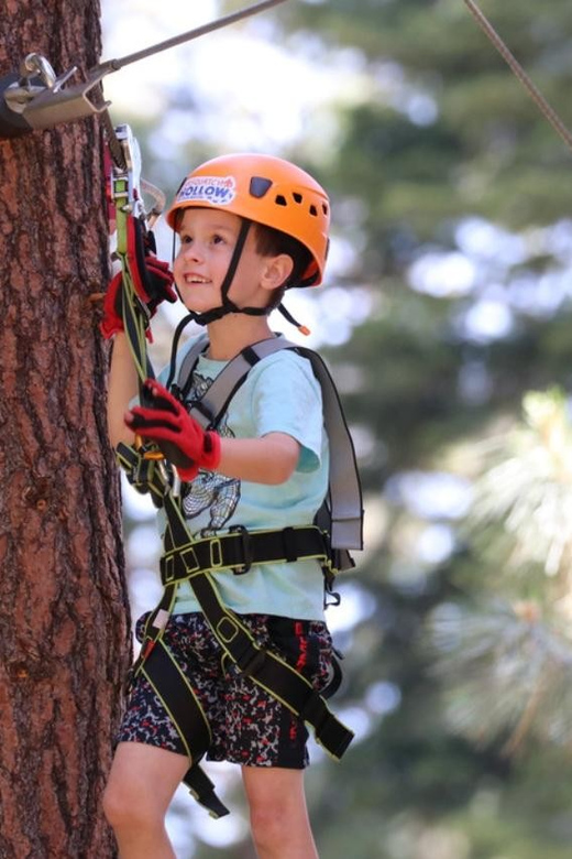 Sasquatch Hollow: Kids' Zipline Adventure - The Experience: What to Expect from Start to Finish