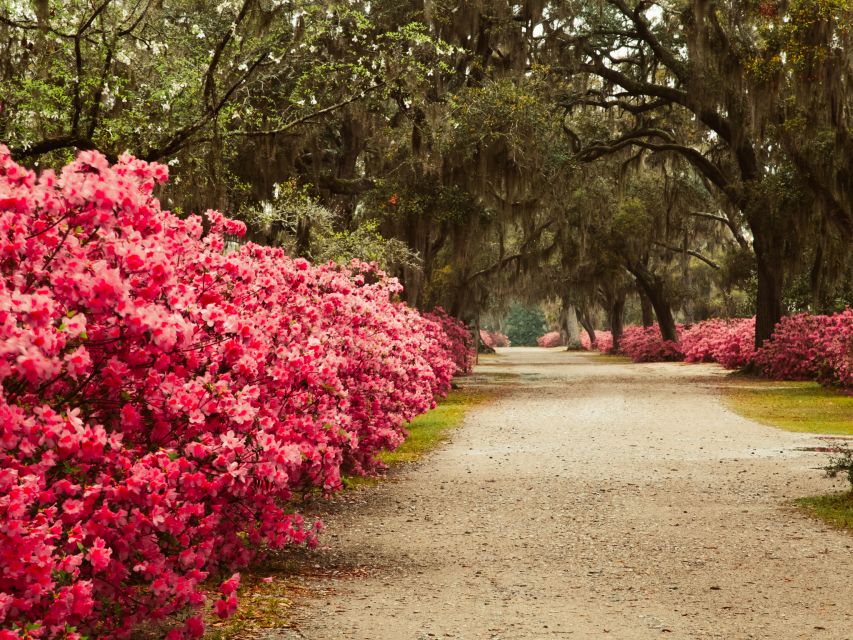Savannah: Bonaventure Cemetery Tour - Practical Tips for Visitors