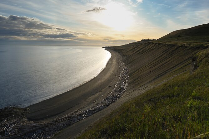 Scenic Coast and Wildlife Tour - Who Will Love This Tour?